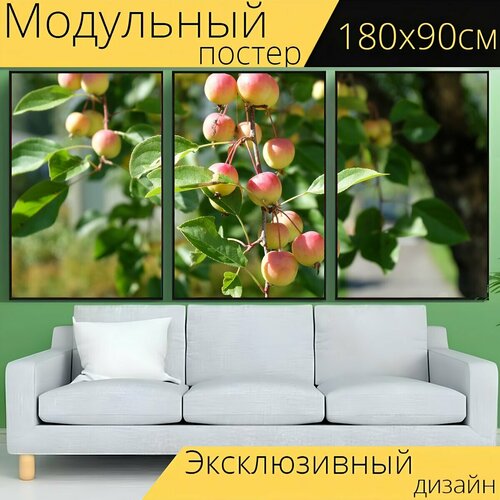 Модульный постер "Яблоки, яблоня, дерево" 180 x 90 см. для интерьера