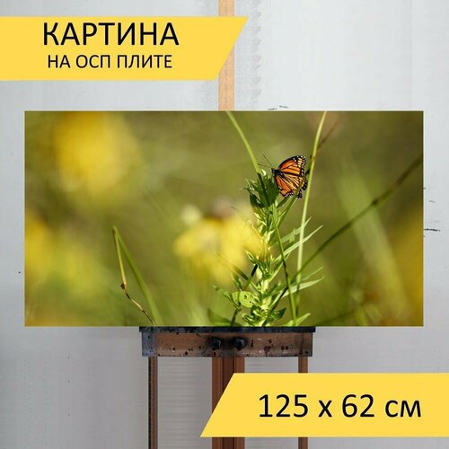 Картина на ОСП 125х62 см. "Природа, желтый, боке" горизонтальная, для интерьера, с креплениями