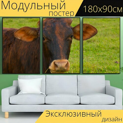 Модульный постер "Корова, скот, животные" 180 x 90 см. для интерьера