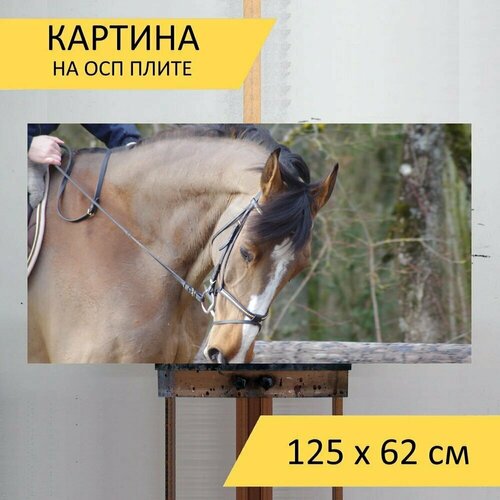 Картина на ОСП 125х62 см. "Лошадь, соревнование, езда на лошади" горизонтальная, для интерьера, с креплениями