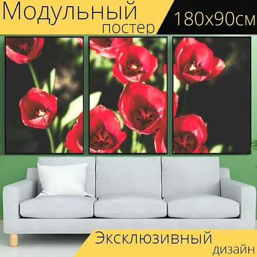 Модульный постер "Тюльпаны, красный, весна" 180 x 90 см. для интерьера