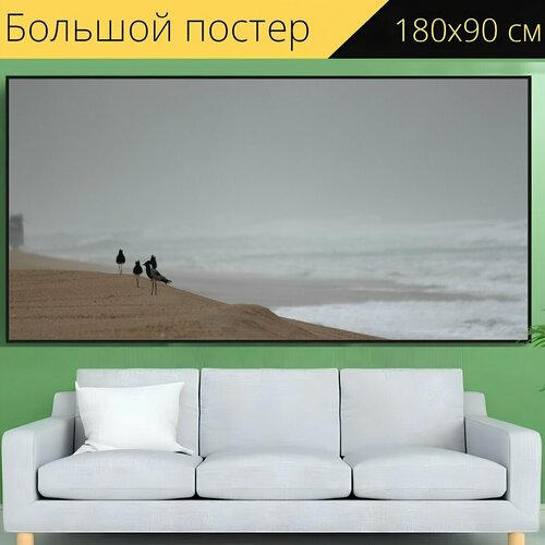 Большой постер "Дурбан, пляж, пляж птица" 180 x 90 см. для интерьера