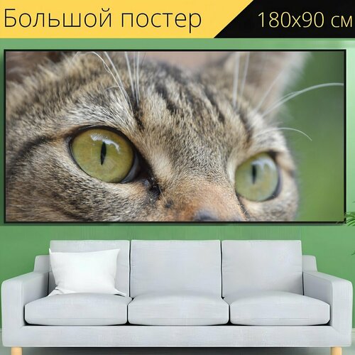 Большой постер "Кошка, одомашненный, смотреть" 180 x 90 см. для интерьера