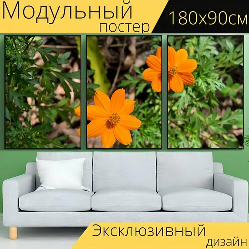 Модульный постер "Апельсин, природа, сад" 180 x 90 см. для интерьера