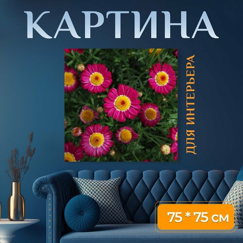 Картина на холсте "Природные, цветок, лист" на подрамнике 75х75 см. для интерьера