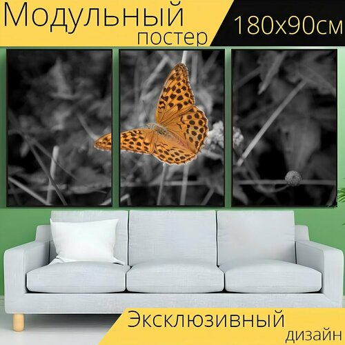Модульный постер "Апельсин, бабочка, природа" 180 x 90 см. для интерьера