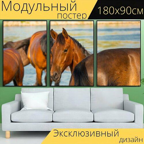 Модульный постер "Лошади, табун лошадей, луг" 180 x 90 см. для интерьера