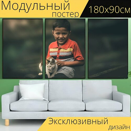 Модульный постер "Маленький мальчик с кошкой, кошка, животное" 180 x 90 см. для интерьера