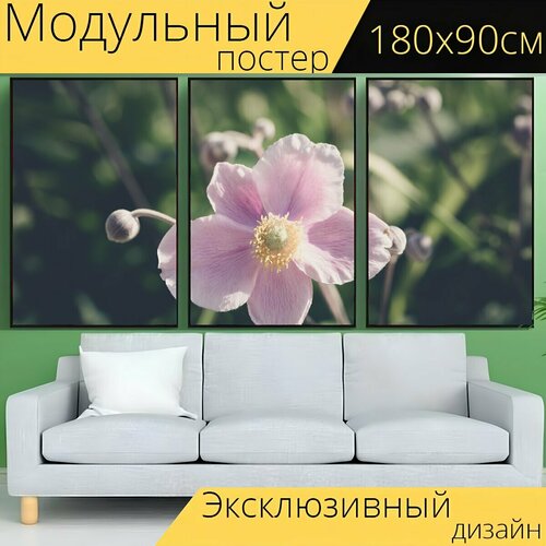 Модульный постер "Анемон, цветок, цвести" 180 x 90 см. для интерьера