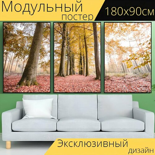 Модульный постер "Лес, осень, деревья" 180 x 90 см. для интерьера
