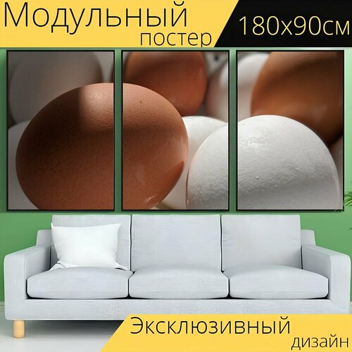 Модульный постер "Яйцо, вареный, курица" 180 x 90 см. для интерьера