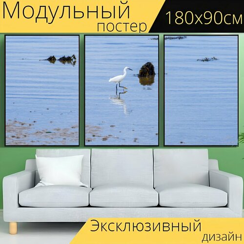 Модульный постер "Цапля, птица, прибрежный" 180 x 90 см. для интерьера
