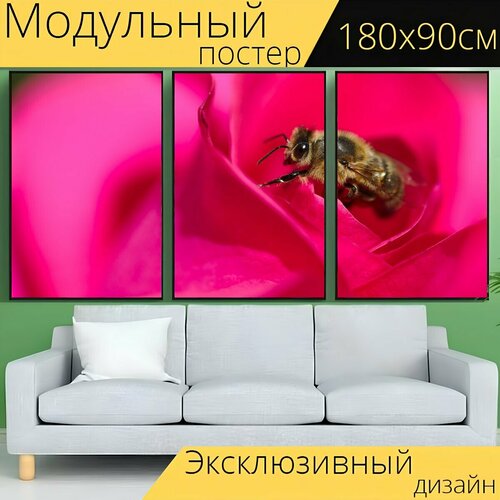 Модульный постер "Роза, пчела, макрос" 180 x 90 см. для интерьера
