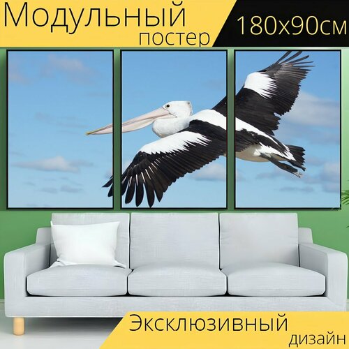 Модульный постер "Животные, птицы, пеликаны" 180 x 90 см. для интерьера