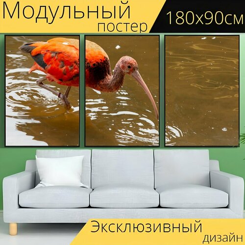 Модульный постер "Птица, водоплавающих птиц, природа" 180 x 90 см. для интерьера
