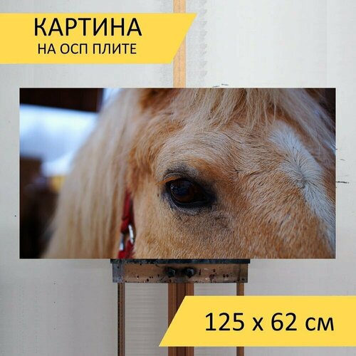 Картина на ОСП 125х62 см. "Лошадь, глаз, животное" горизонтальная, для интерьера, с креплениями