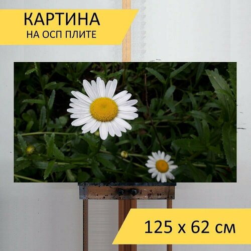 Картина на ОСП 125х62 см. "Маргаритка, цветы, природа" горизонтальная, для интерьера, с креплениями