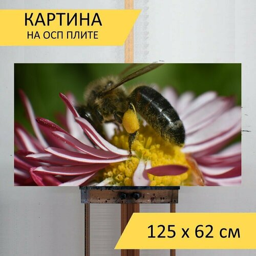 Картина на ОСП 125х62 см. "Пчела, цветок, нектар" горизонтальная, для интерьера, с креплениями