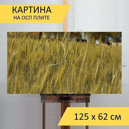 Картина на ОСП 125х62 см. "Посевы, поле, пшеница" горизонтальная, для интерьера, с креплениями