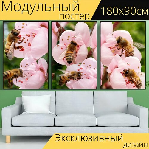 Модульный постер "Пчелы, насекомые, цветы" 180 x 90 см. для интерьера