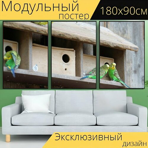 Модульный постер "Птичий домик, попугай, волнистый попугайчик" 180 x 90 см. для интерьера