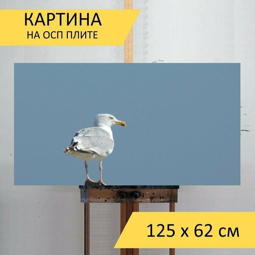Картина на ОСП 125х62 см. "Балтийское море, чайка, мировоззрение" горизонтальная, для интерьера, с креплениями