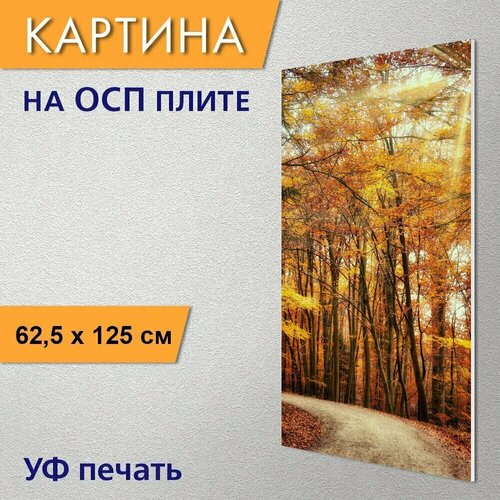 Вертикальная картина на ОСП "Лес, лесная тропа, падение" 62x125 см. для интерьериа