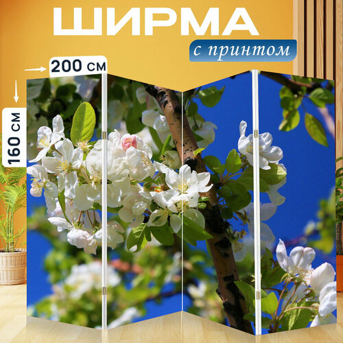 Ширма перегородка с принтом "Цветы, весна, природа" на холсте - 200x160 см. для зонирования, раскладная