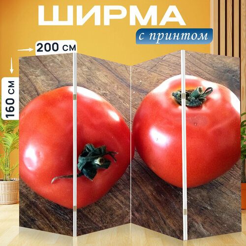 Ширма перегородка с принтом "Красный, помидоры, древесина" на холсте - 200x160 см. для зонирования, раскладная