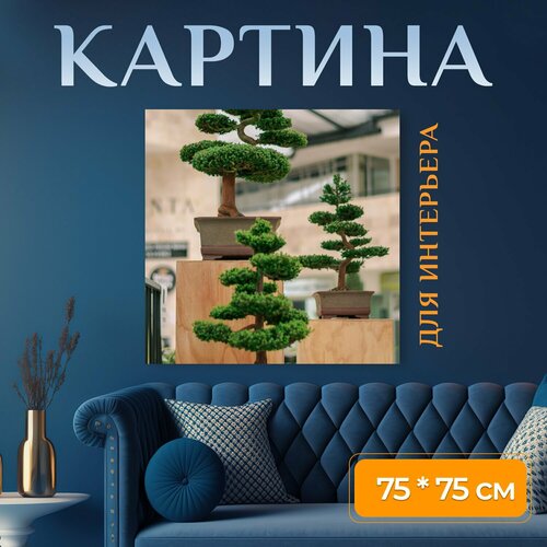 Картина на холсте "Бонсай, деревья, завод" на подрамнике 75х75 см. для интерьера