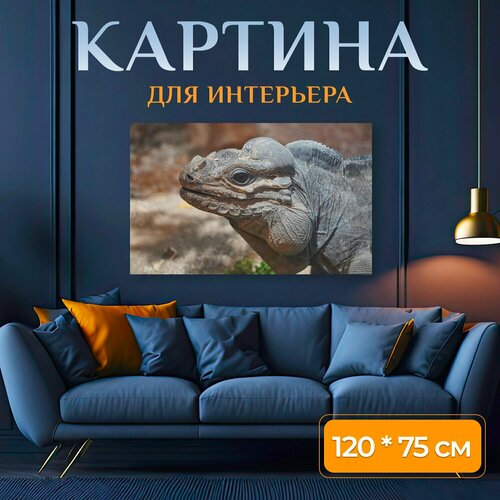 Картина на холсте "Игуана, рептилия, террариум" на подрамнике 120х75 см. для интерьера