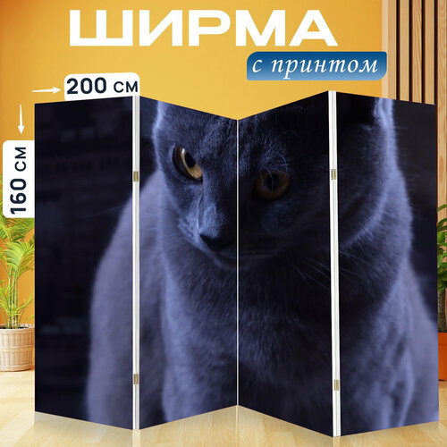 Ширма перегородка с принтом "Кошка, тьма, темный" на холсте - 200x160 см. для зонирования, раскладная