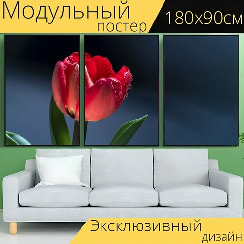 Модульный постер "Цветок, тюльпан, весна" 180 x 90 см. для интерьера
