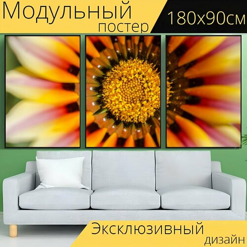 Модульный постер "Макрос, цветок, семена" 180 x 90 см. для интерьера