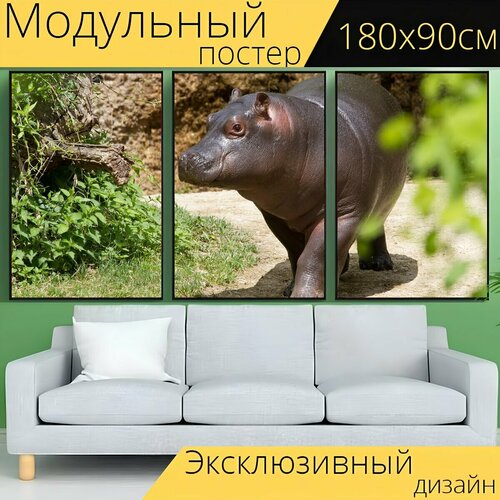 Модульный постер "Бегемот, зоопарк, детеныш гиппопотама" 180 x 90 см. для интерьера