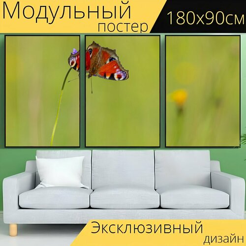 Модульный постер "Опыление, бабочка, бабочка павлиний" 180 x 90 см. для интерьера