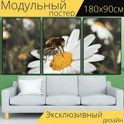 Модульный постер "Пчела, насекомое, маргарет" 180 x 90 см. для интерьера