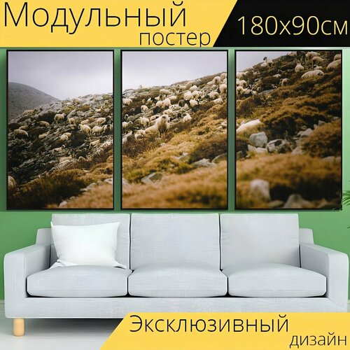 Модульный постер "Овец, гора, природа" 180 x 90 см. для интерьера