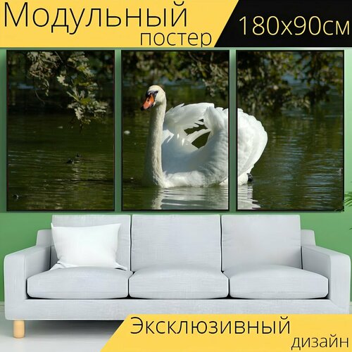 Модульный постер "Белый лебедь, лебеди, лебедь" 180 x 90 см. для интерьера