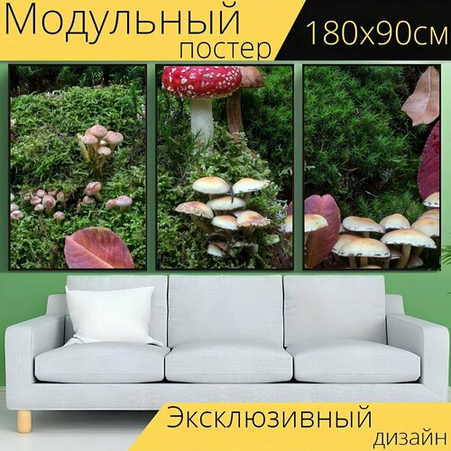 Модульный постер "Лес, мох, грибы" 180 x 90 см. для интерьера
