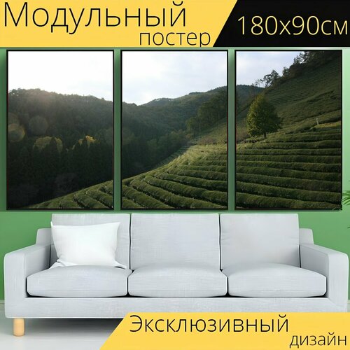 Модульный постер "Зеленый чай, машина, пейзажи" 180 x 90 см. для интерьера