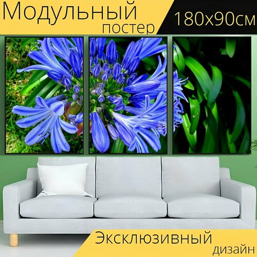 Модульный постер "Расцветает, цветок, синий" 180 x 90 см. для интерьера