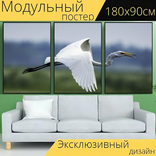 Модульный постер "Большая белая цапля, белый, птица" 180 x 90 см. для интерьера
