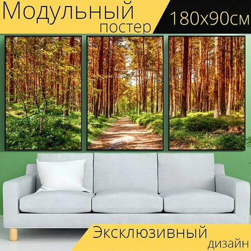 Модульный постер "Пейзаж, природа, сосновый лес" 180 x 90 см. для интерьера
