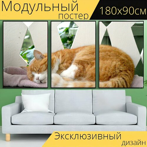 Модульный постер "Кот, похмелье, домашнее животное" 180 x 90 см. для интерьера