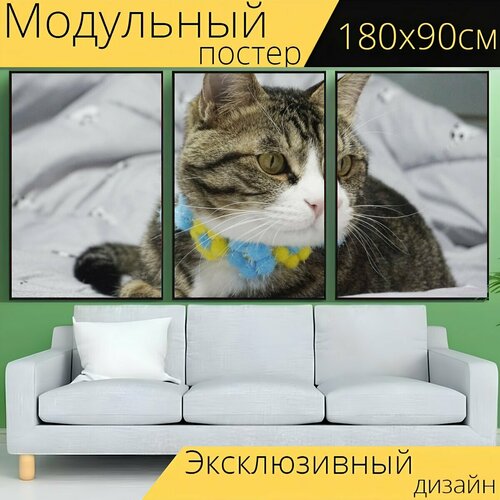 Модульный постер "Кошка, возлюбленный, домашний питомец" 180 x 90 см. для интерьера