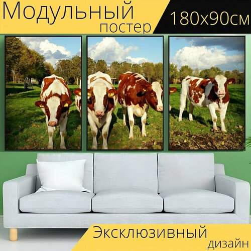 Модульный постер "Корова, крупный рогатый скот, животное" 180 x 90 см. для интерьера