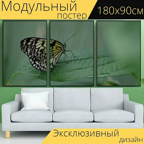 Модульный постер "Бабочка, лист, крыло" 180 x 90 см. для интерьера