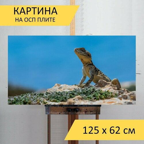 Картина на ОСП 125х62 см. "Рептилия, природа, ящерица" горизонтальная, для интерьера, с креплениями