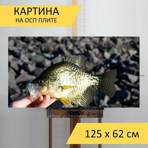 Картина на ОСП 125х62 см. "Краппи, рыбы, рука" горизонтальная, для интерьера, с креплениями